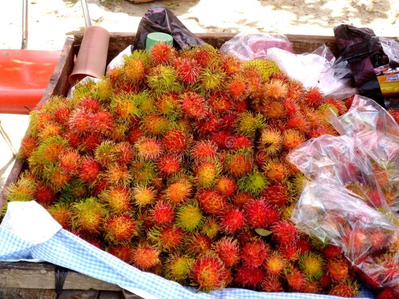 Rambutan y lichi imagen de archivo. Imagen de lichi, rambutan - 56453889