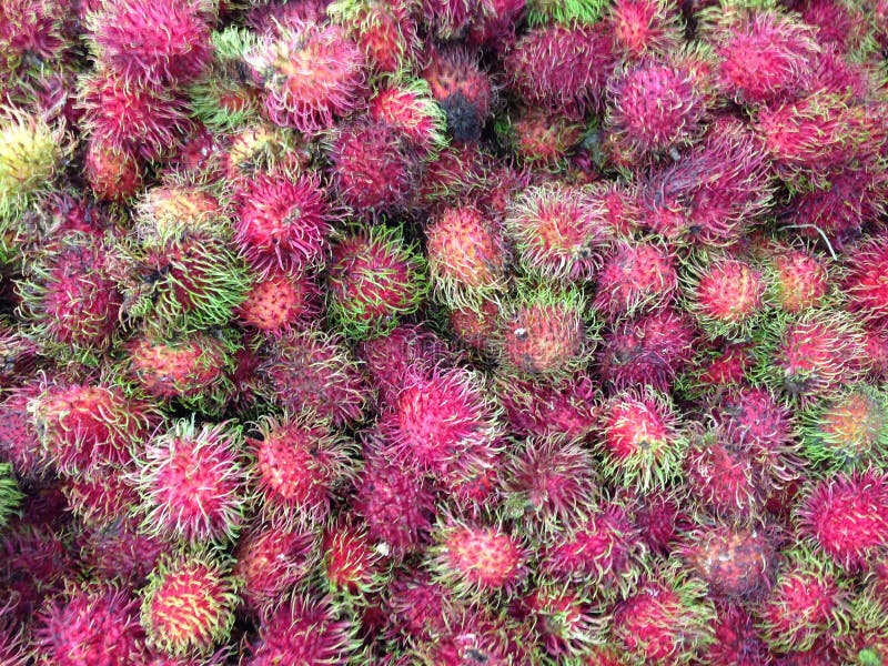 Rambutan a Lot for Abstract Background Stock Photo - Image of organic ...