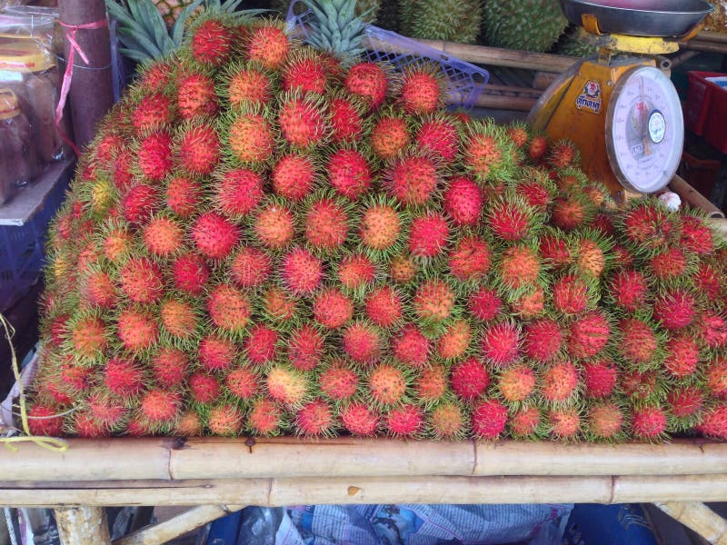Longan stock image. Image of family, longan, southern - 52847479