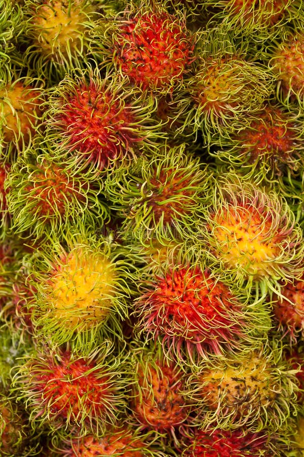 Rambutan (Nephelium Lappaceum Linn.). Stock Photo - Image of health ...