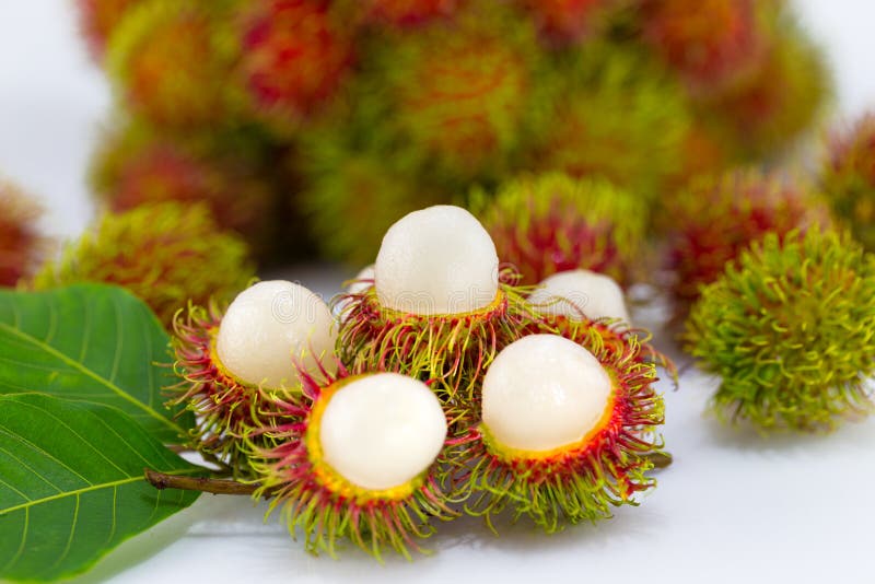 Rambutan stock photo. Image of rambutans, thai, peel - 93048400