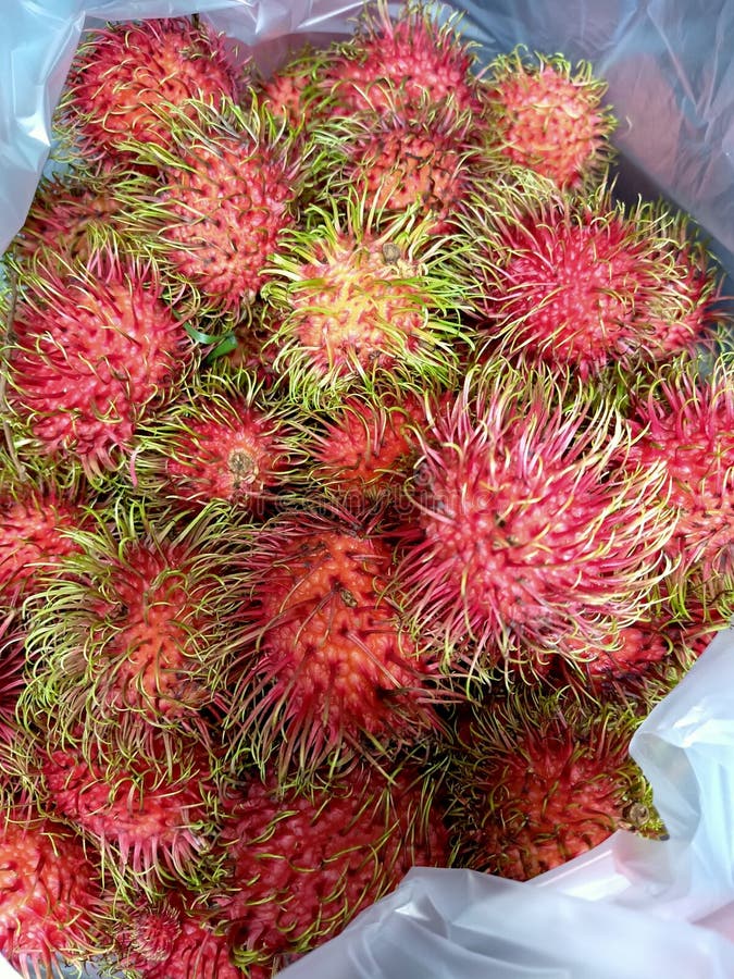Fruta del Rambutan foto de archivo. Imagen de pelo, único - 25996514