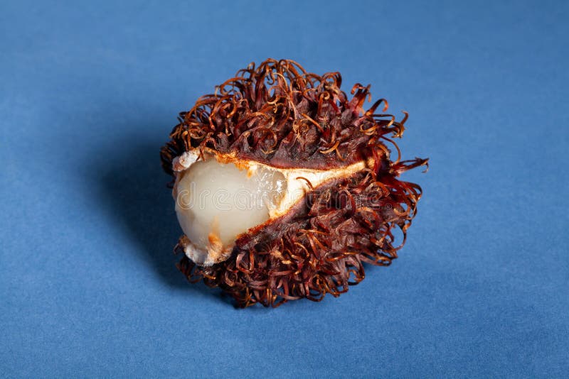 Rambutan stock image. Image of fruit, open, ripe, tasty - 225370545