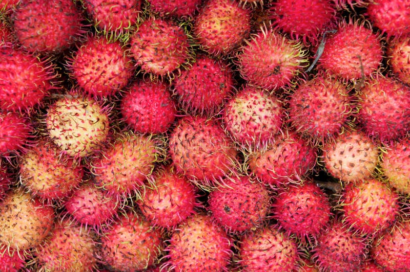 Rambutan stock image. Image of green, fresh, asian, sour - 24763967