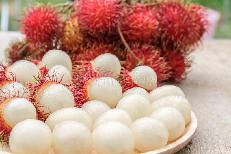 Rambutan stock photo. Image of hairy, negrito, harvest - 59157522