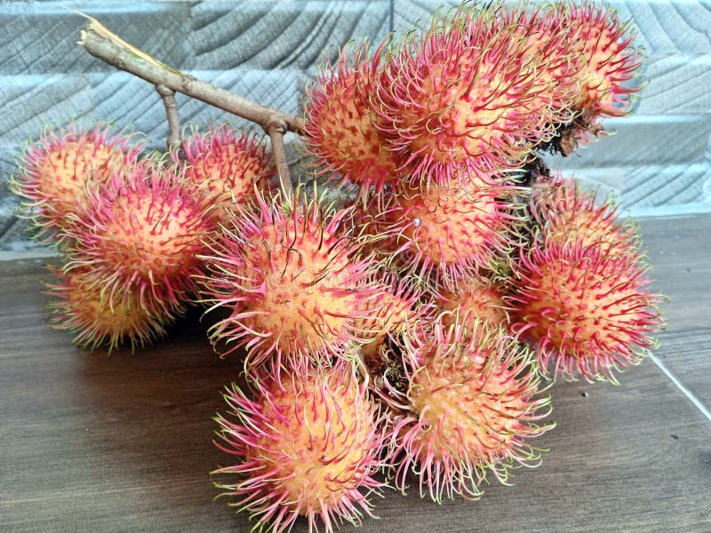 Rambutans or fruit hair stock image. Image of produce - 269286683