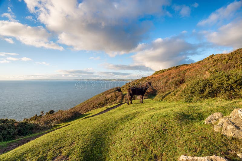 Rame Head in Cornwall stock photo. Image of landscape - 62878582