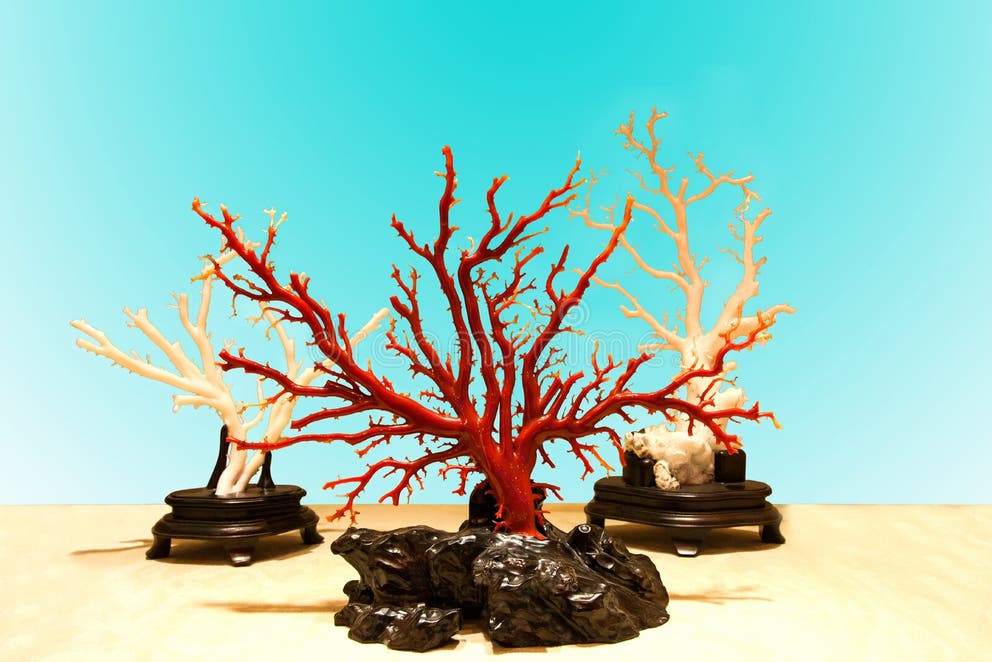 Rami di corallo fotografia stock. Immagine di effetti - 42260174