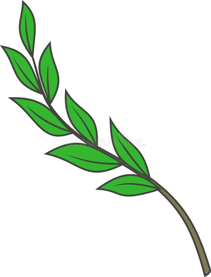Ejemplo Del Vector Del Grabado De La Rama Del Laurel Ilustración del ...