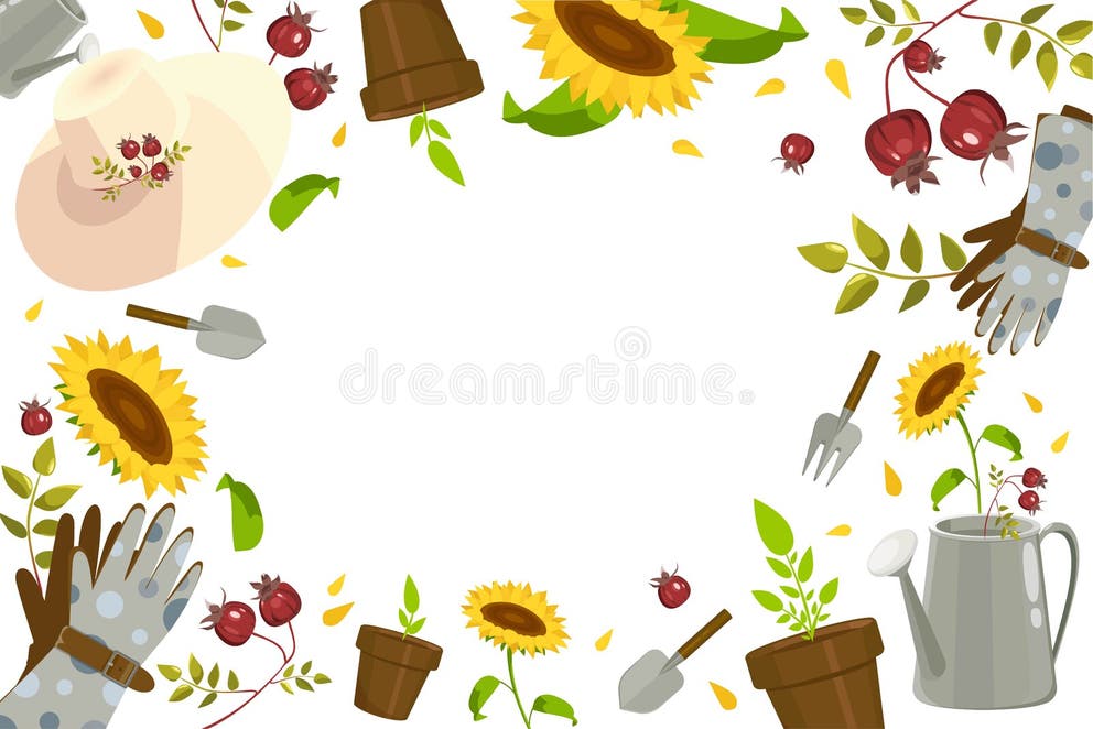 Frame Garden Flowers Pattern Set Stock Illustration - Illustration of ...