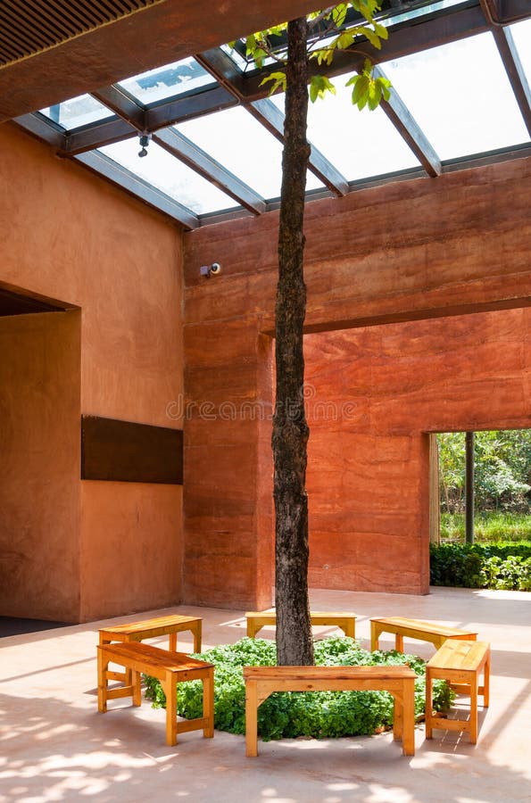 Rammed with Tree Growing Trough the Roof. Stock Image - Image of ...