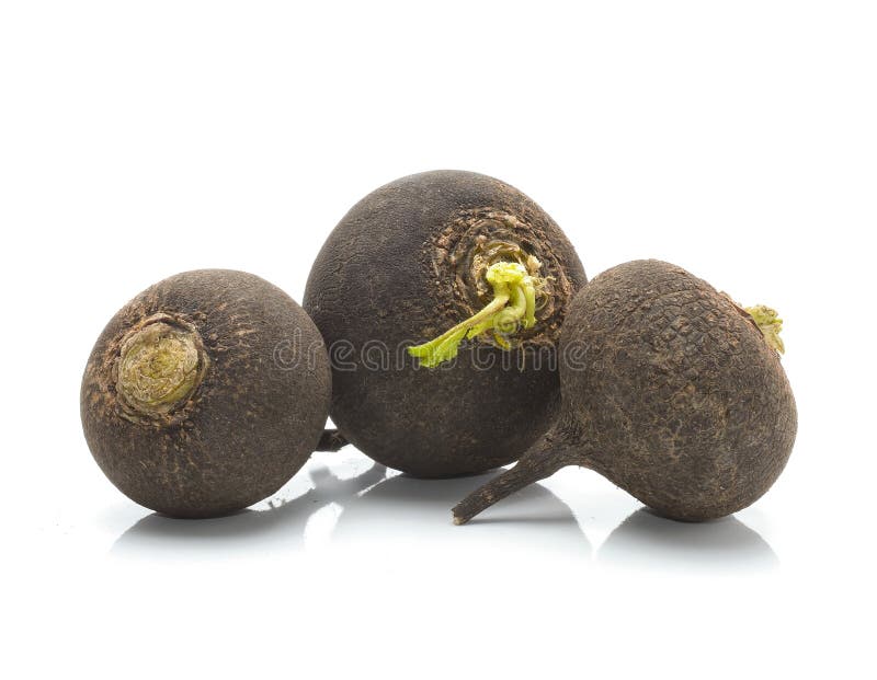 Rammenas stock foto. Image of geneeskunde, salade, sluit - 66785590