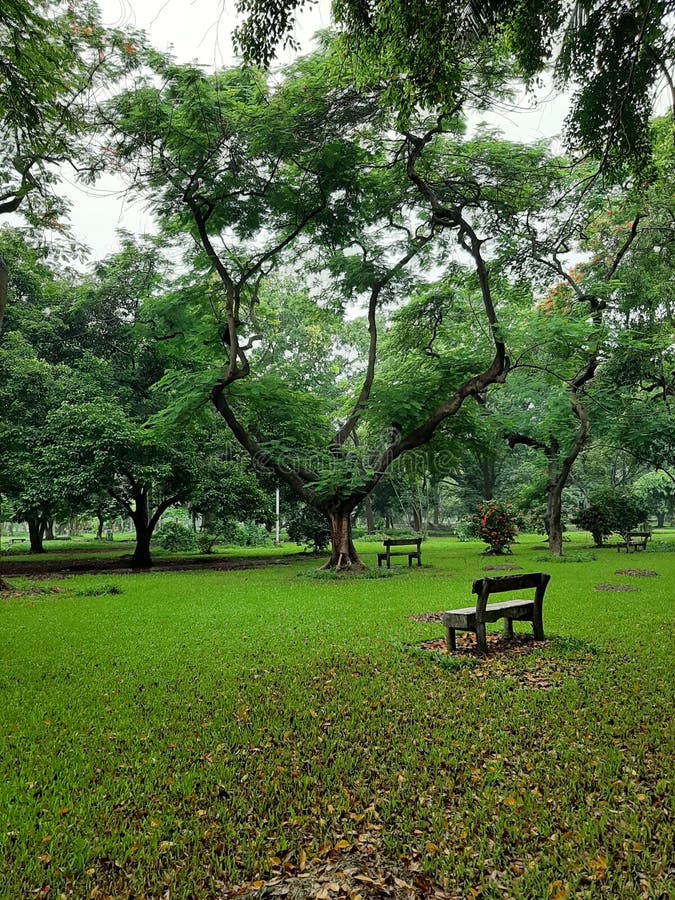 Ramna Park stock image. Image of park, bangladesh, dhaka - 150894287