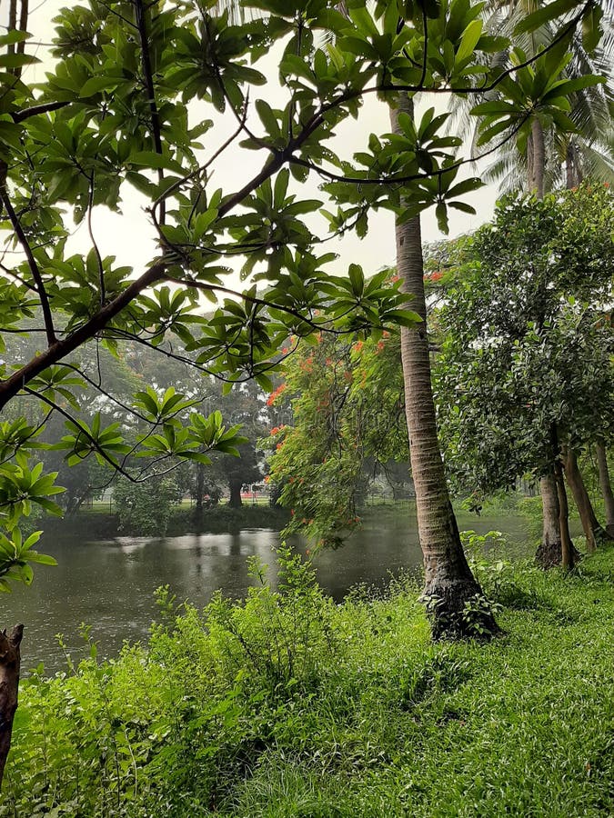 Ramna Park stock image. Image of park, dhaka, ramna - 150894765