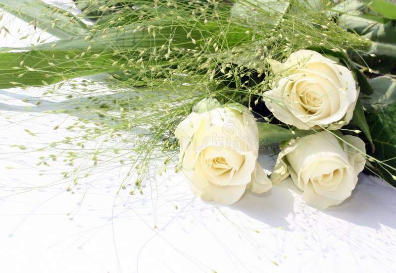Ramo blanco de las rosas imagen de archivo. Imagen de deseo - 6533955