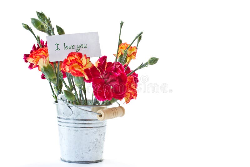 Ramo de claveles rojos imagen de archivo. Imagen de decoración - 24028387