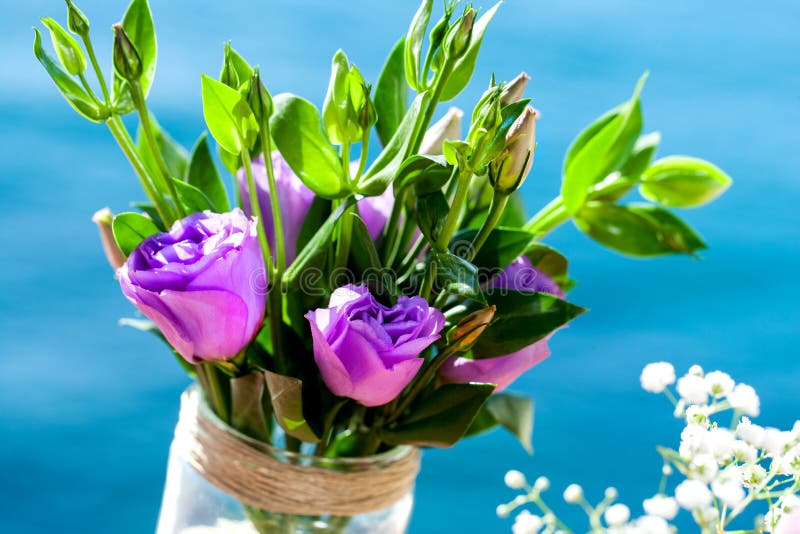 Ramo Color De Rosa De La Violeta Al Aire Libre. Foto de archivo ...