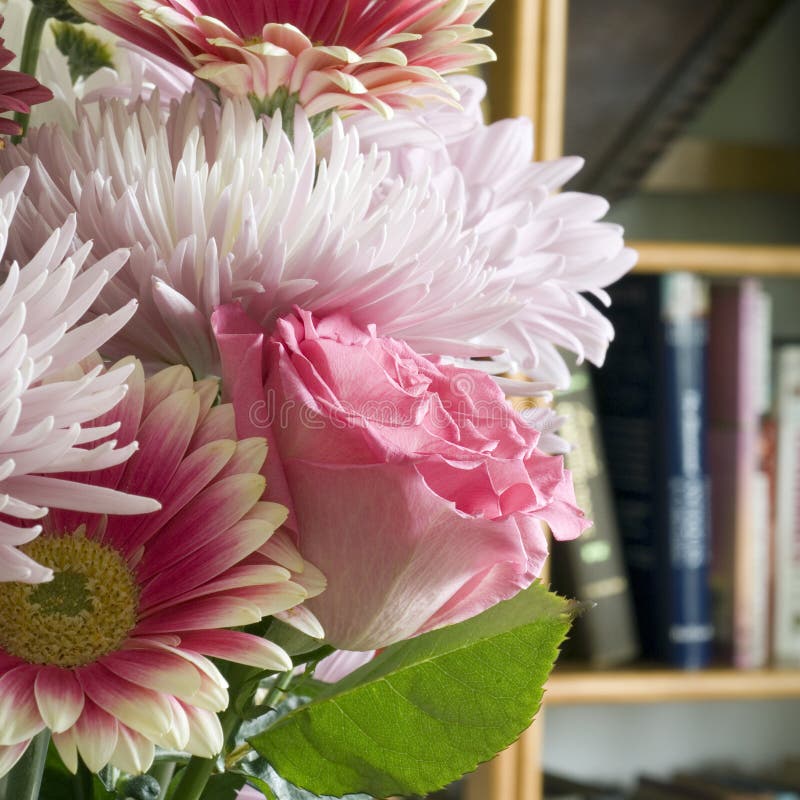 Ramo Con El Cuadrado Color De Rosa Imagen de archivo - Imagen de ...