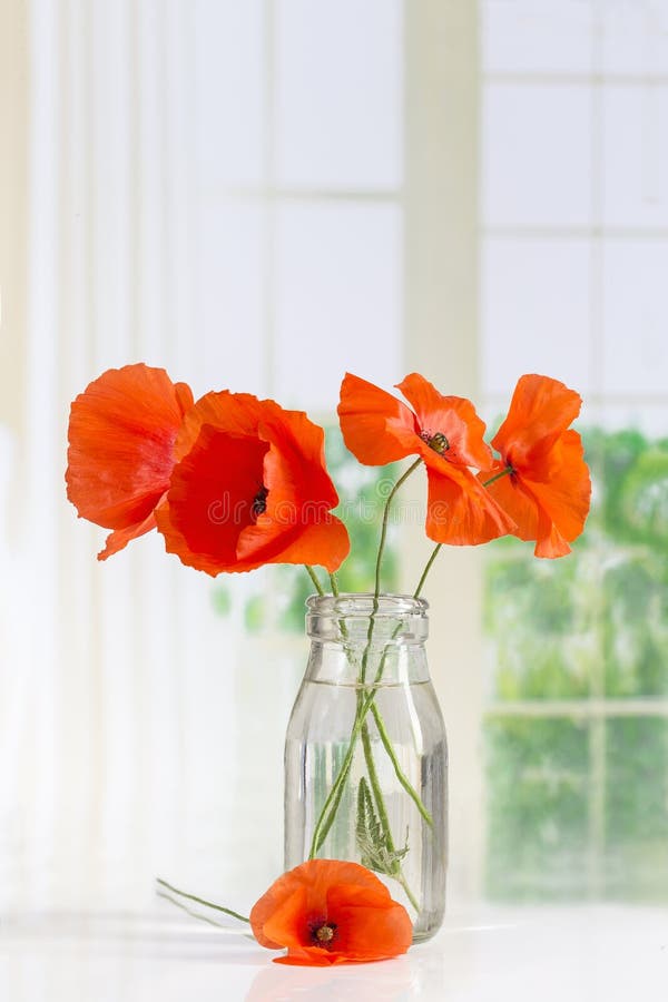 Ramo De Amapolas En El Florero De Cristal En Blanco Foto de archivo ...