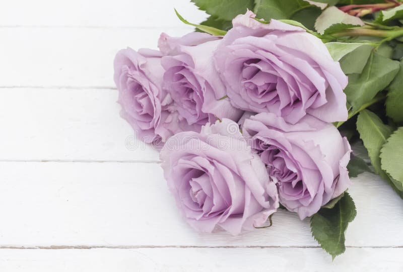 Ramo De Cinco Bonitas Rosas Moradas Sobre Un Fondo Blanco De Madera ...