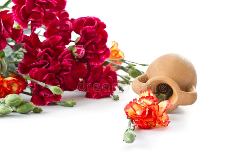 Ramo de claveles rojos imagen de archivo. Imagen de flor - 24070193