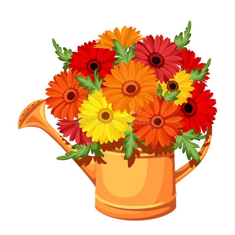 Ramo De Flores Del Gerbera En Regadera. Vector Ilustración del Vector ...