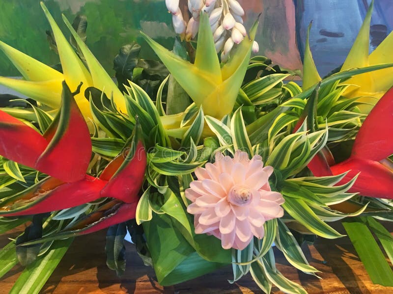 Flores hawaianas foto de archivo. Imagen de fresco, cubo - 4862480