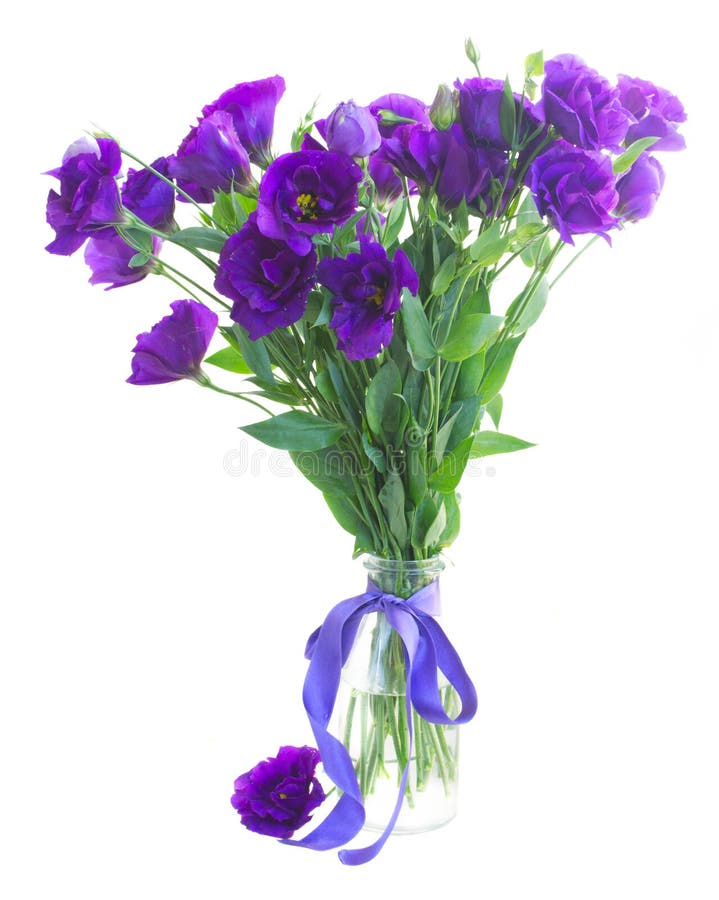 Ramo De Flores Violetas Y Rosadas Del Aster Imagen de archivo - Imagen ...