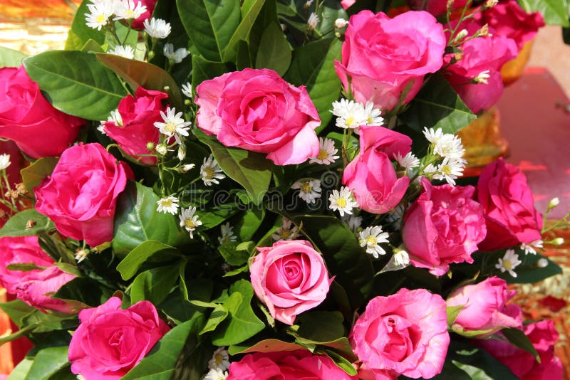 Ramo de la flor imagen de archivo. Imagen de resorte - 102406717