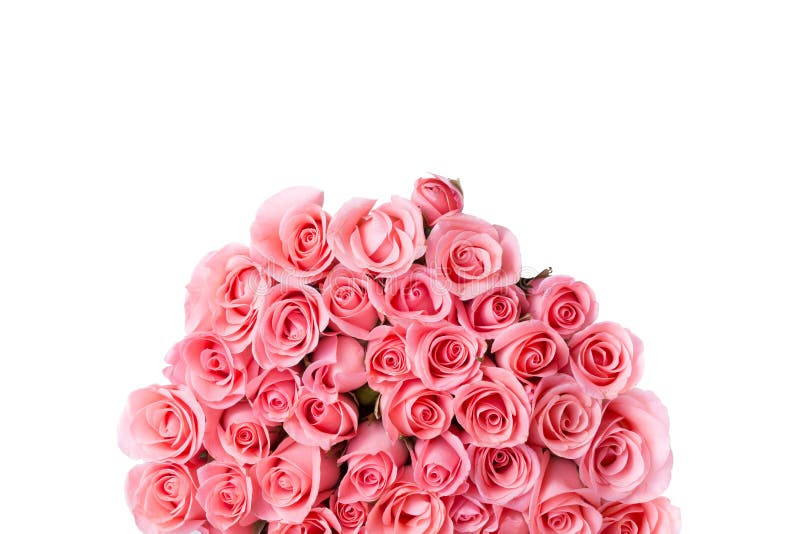 Ramo De Rosas Rosas Aislado Foto de archivo - Imagen de vacaciones ...