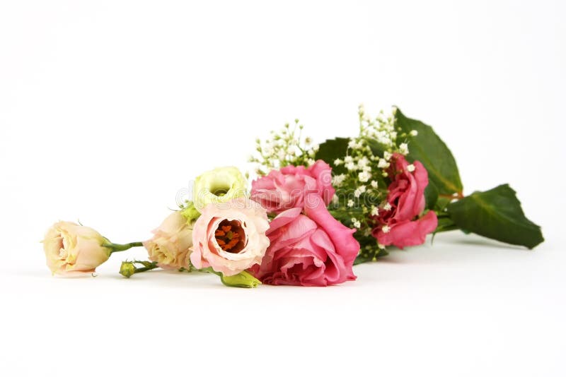 Ramo de la flor de rosas imagen de archivo. Imagen de estacional - 10028497