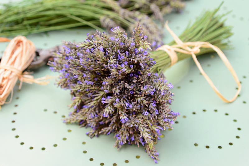 Ramo de la lavanda imagen de archivo. Imagen de planta - 24840027