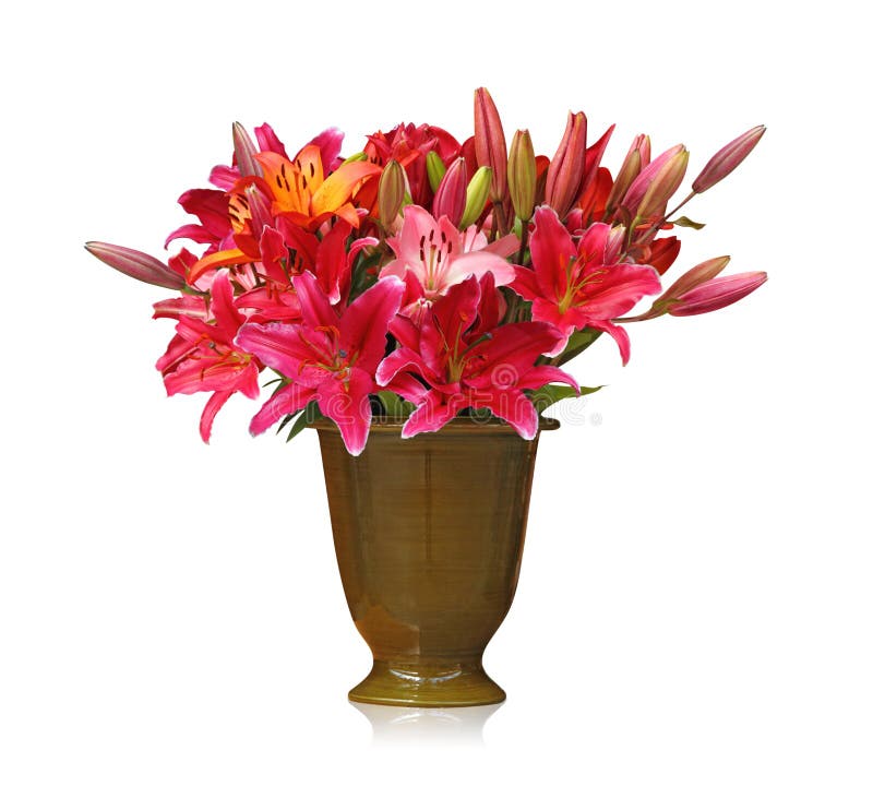 Ramo de calas rojas foto de archivo. Imagen de hoja, manojo - 58394540