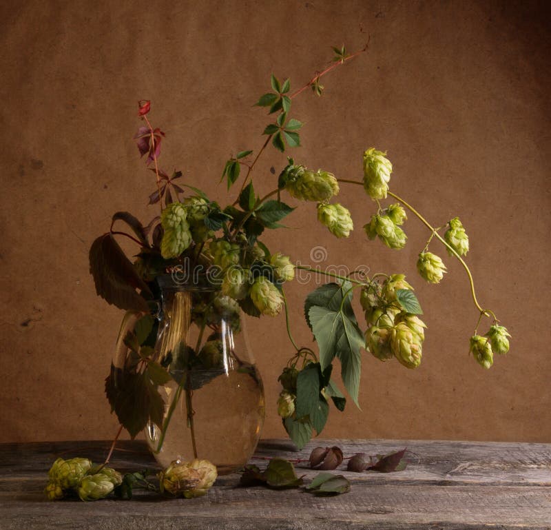 Ramo De Ramas Con Los Saltos Foto de archivo - Imagen de cubo, oscuro ...