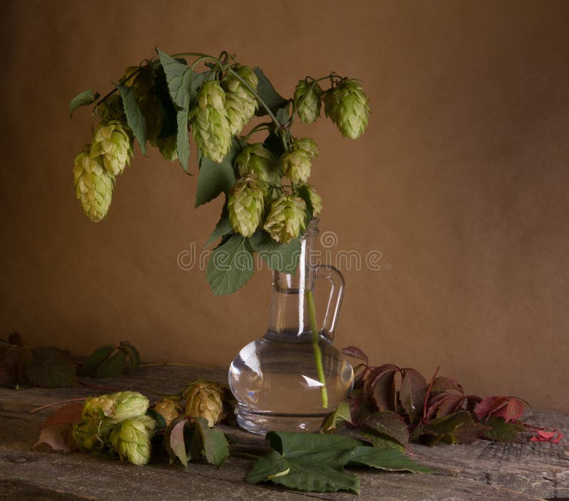 Ramo De Ramas Con Los Saltos Foto de archivo - Imagen de fresco ...