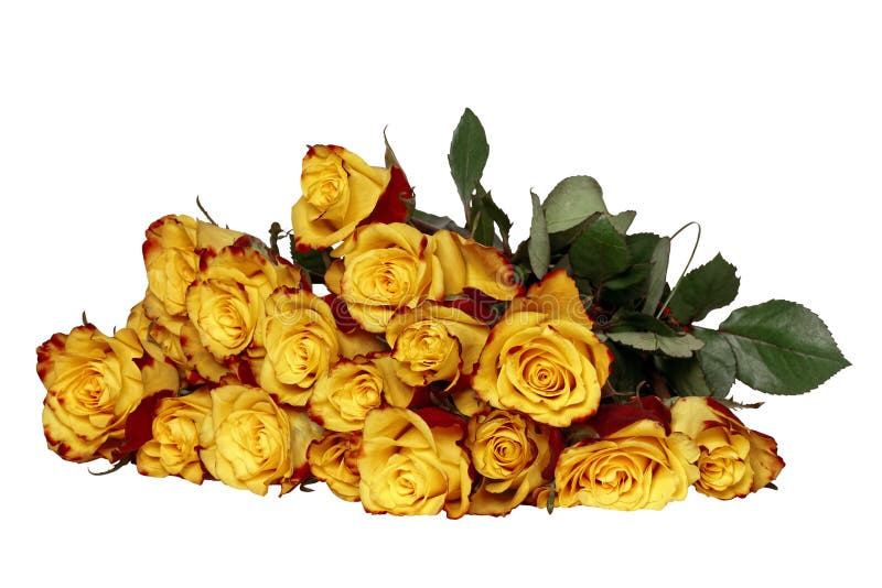 Ramo de rosas. foto de archivo. Imagen de espacio, brote - 22789056