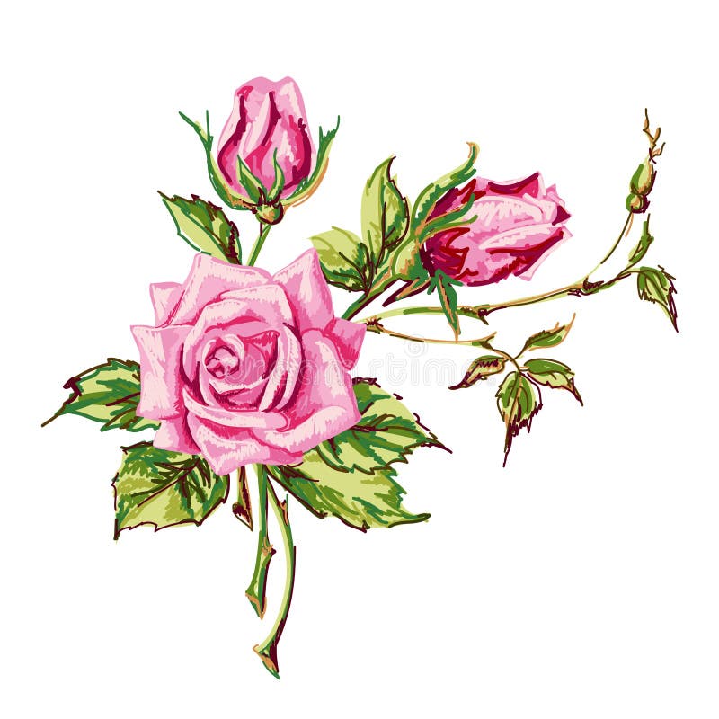 Ramo de rosas ilustración del vector. Ilustración de fondo - 69133491