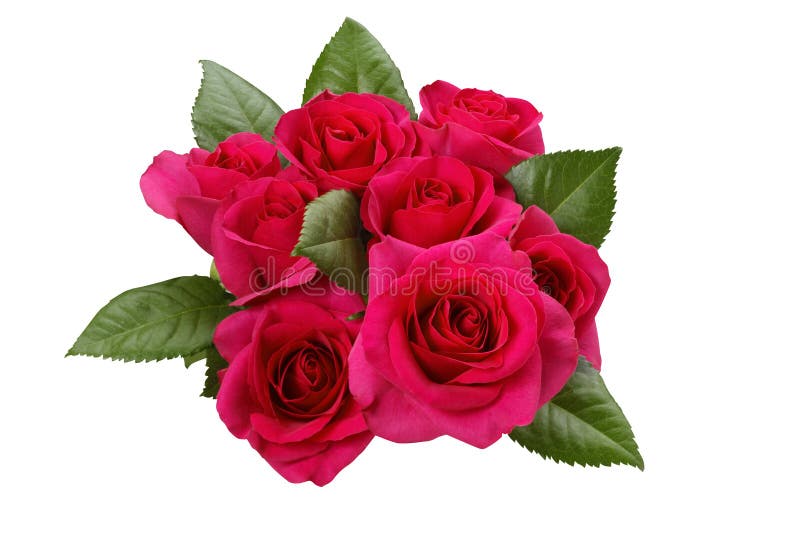 Ramo de Rose foto de archivo. Imagen de floral, flores - 10696468