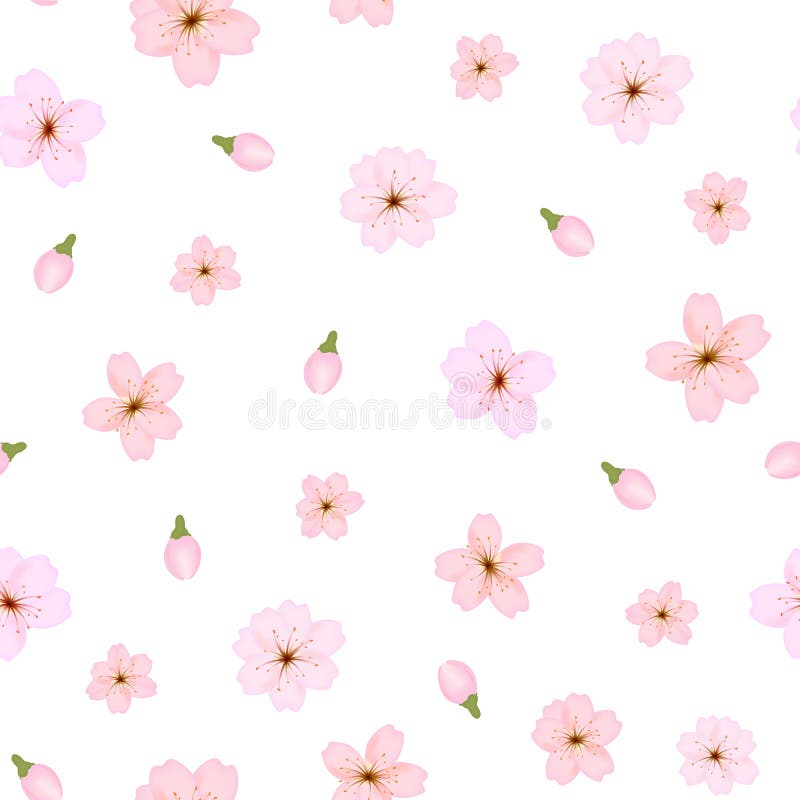 Ramo De Sakura Ou De Cherry Blossoms Background Pattern Vetor ...