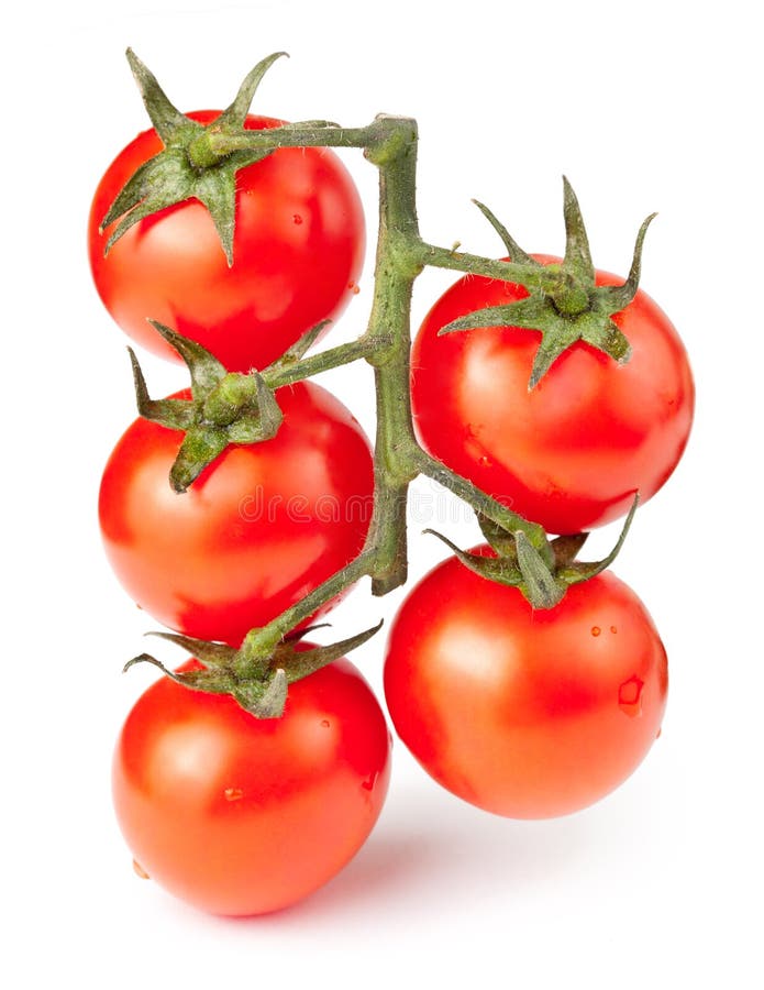 Ramo de tomates de cereja imagem de stock. Imagem de alimento - 30374049