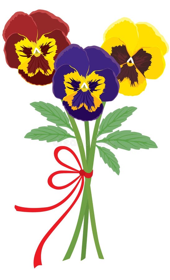 Tres violetas ilustración del vector. Ilustración de color - 9736060