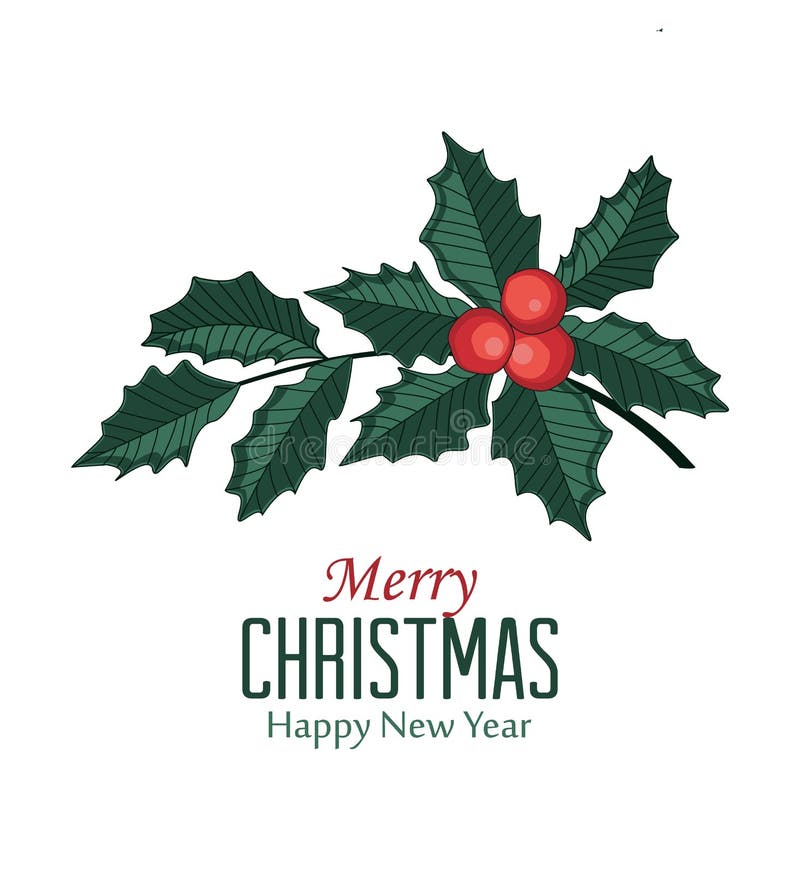 Ramo Del Vischio, Bacche Rosse Illustrazione Vettoriale - Illustrazione ...