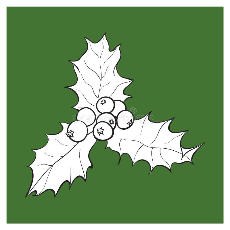 Ramo Del Vischio Con Le Foglie E Le Bacche Illustrazione Vettoriale ...