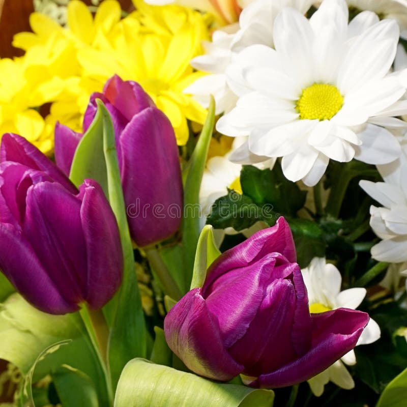 Ramo Flores Violetas Amarillas Blancas Hermosas Imagen de archivo ...