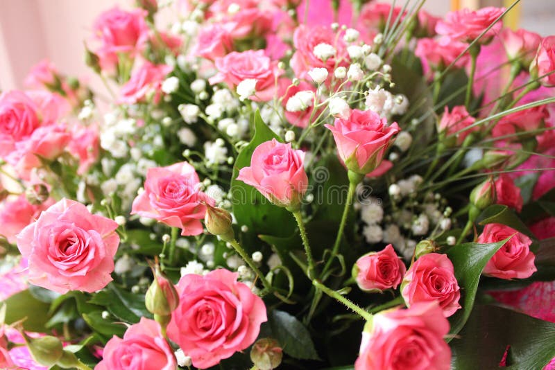 Ramo Grande De Rosas Rosadas Imagen de archivo - Imagen de maravilloso ...