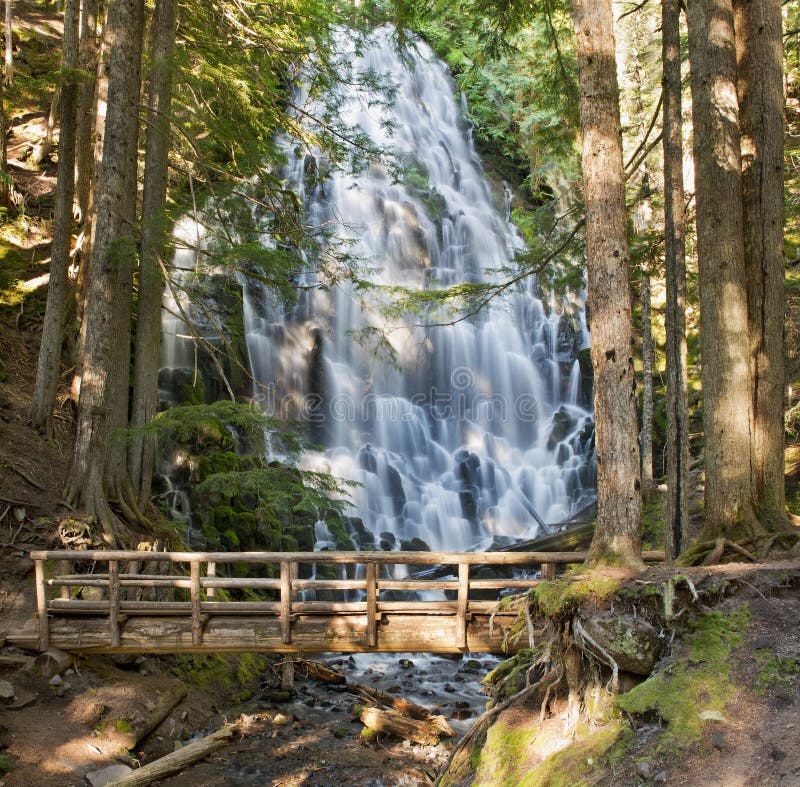 Ramona Falls by the Wooden Bridge in Oregon Stock Photo - Image of ...