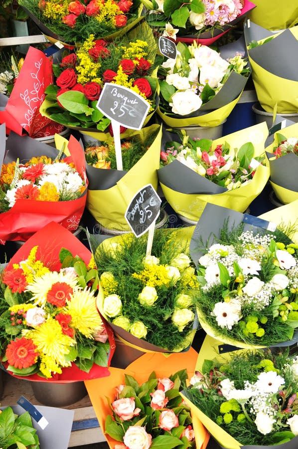 Ramos de la flor foto de archivo. Imagen de flores, agricultura - 19037760