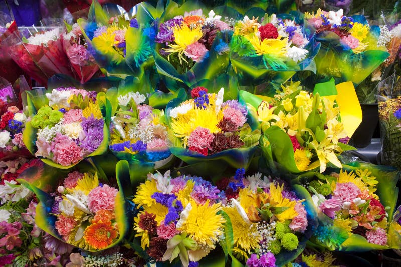 Ramos de la flor imagen de archivo. Imagen de granjeros - 22274951