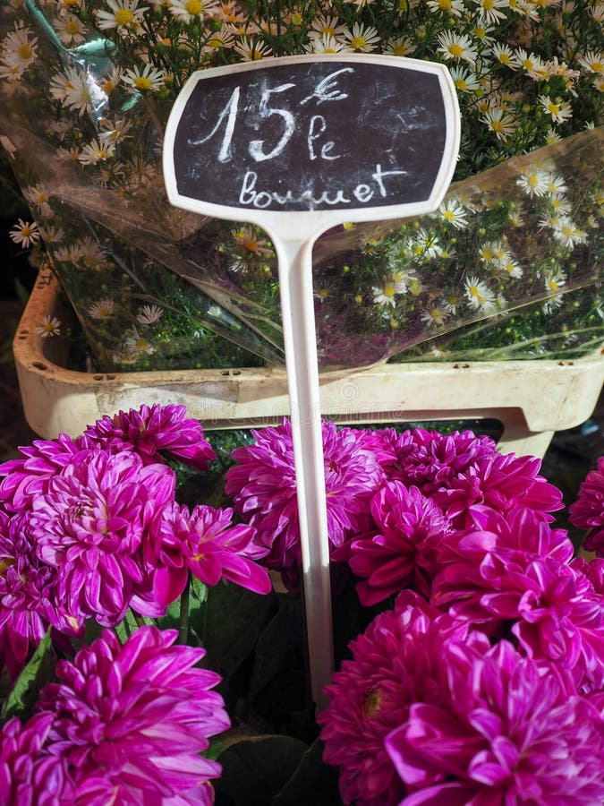 Ramos De La Flor Para La Venta Imagen de archivo - Imagen de agradable ...