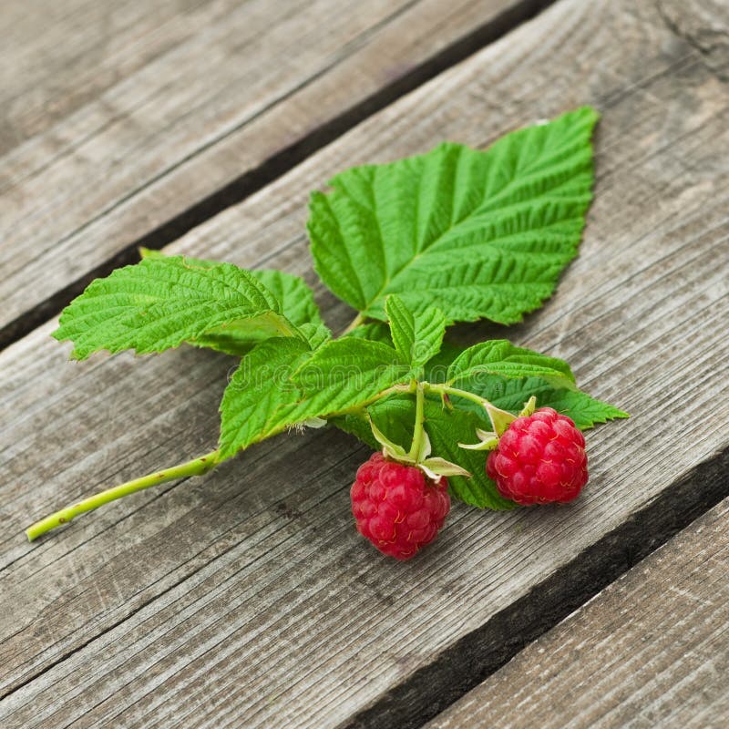 Merce Nel Carrello Matura Fresca Del Lampone Fotografia Stock ...